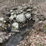 Manchester Pond, Massachusetts - 272 Reviews, Map | AllTrails