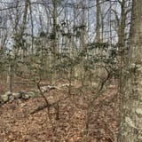 Manchester Pond, Massachusetts - 272 Reviews, Map | AllTrails