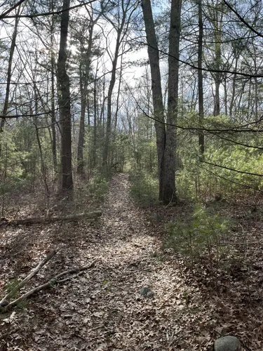 10 Best Trails and Hikes in Attleboro | AllTrails