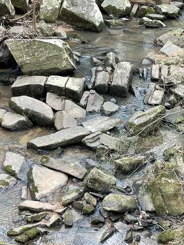 Best Hikes and Trails in Mistletoe State Park | AllTrails