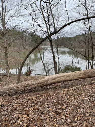 Best Hikes and Trails in Mistletoe State Park | AllTrails