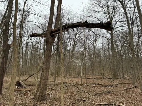Best Hikes and Trails in Willowbrook Park | AllTrails