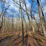 Emma Carlin Trails: Orange Loop, Wisconsin - 407 Reviews, Map | AllTrails