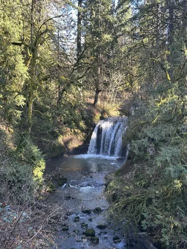 Best Dogs On Leash Trails in Damascus | AllTrails