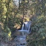 Hidden Falls Nature Park Trail, Oregon - 541 Reviews, Map | AllTrails