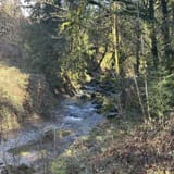 Hidden Falls Nature Park Trail, Oregon - 541 Reviews, Map | AllTrails