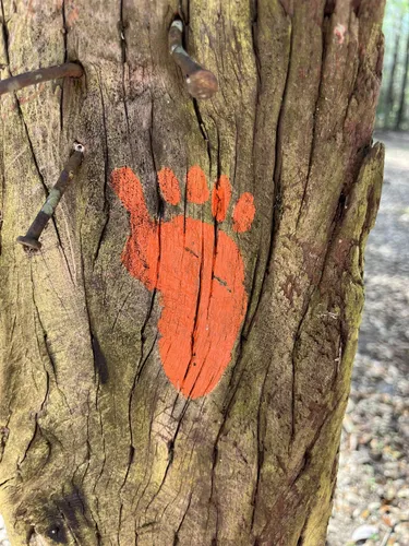 Best Hikes and Trails in Carney Island Recreation & Conservation Area ...