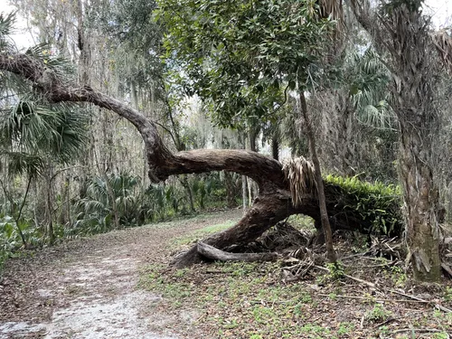 Best Hikes and Trails in Carney Island Recreation & Conservation Area ...