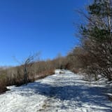 Max Patch Loop, North Carolina - 2,105 Reviews, Map | AllTrails