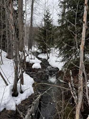 Best Wild Flowers Trails in Warfield | AllTrails