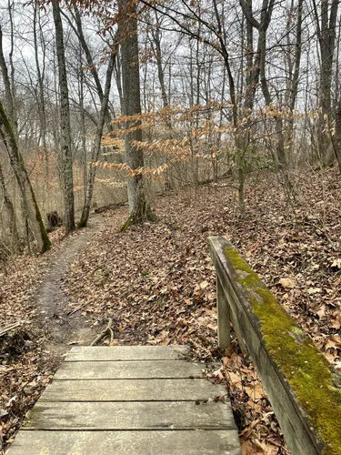 Best Hikes and Trails in Stanberry Park | AllTrails