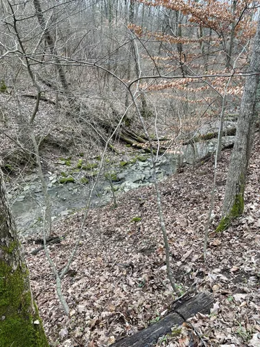 Best Hikes and Trails in Stanberry Park | AllTrails