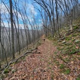 Neversink Gorge Blue Trail, New York - 40 Reviews, Map | AllTrails