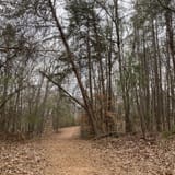 Dam Road, Issaqueena, Rocky and Collarbone Trail, South Carolina ...