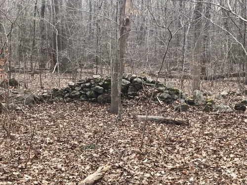 Best Hikes and Trails in Bittner Park | AllTrails