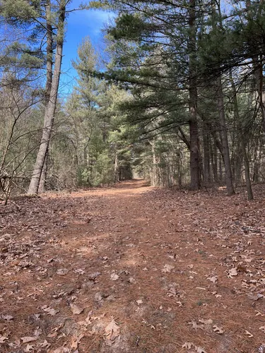 Best Forest Trails in Topeka | AllTrails