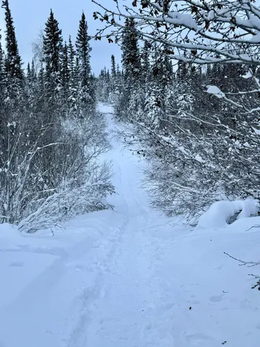 Best Walking Trails in Inuvik | AllTrails