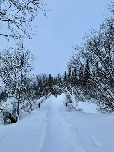 Best Walking Trails in Inuvik | AllTrails