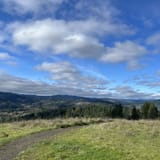 Fitton Green Natural Area Trail, Oregon - 381 Reviews, Map | AllTrails