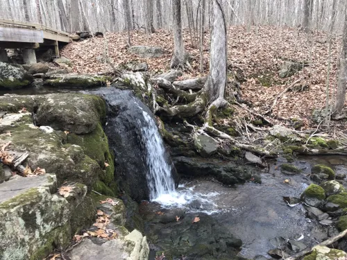 Best Hikes and Trails in Bittner Park | AllTrails