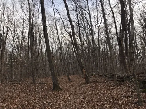 Best Hikes and Trails in Bittner Park | AllTrails