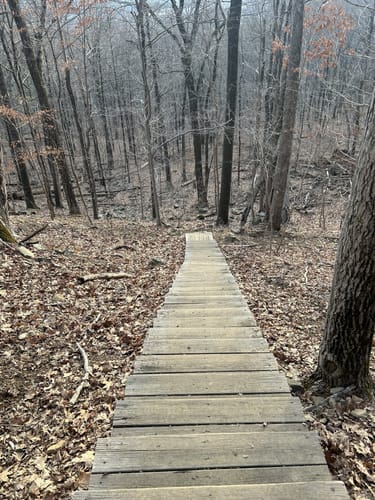 Best Hikes and Trails in Quarry Head Park | AllTrails