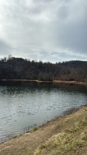 Best Forest Trails in G. Richard Thompson Wildlife Management Area ...