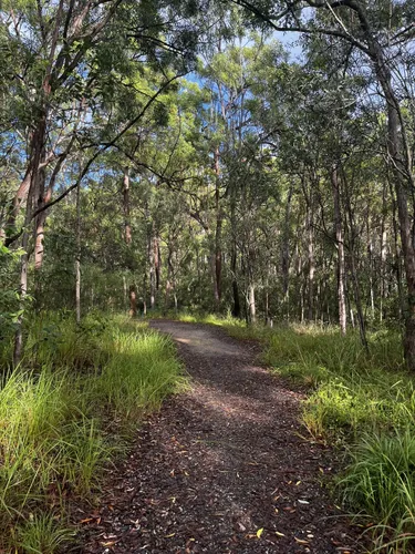 Best Wild Flowers Trails in Toohey Forest Park | AllTrails
