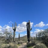 Black Rock Loop Trail, Arizona - 678 Reviews, Map | AllTrails