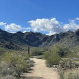 Black Rock Loop Trail, Arizona - 678 Reviews, Map | AllTrails