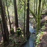 Dawn Falls Trail Loop, California - 854 Reviews, Map | AllTrails
