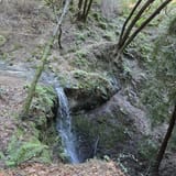 Dawn Falls Trail Loop, California - 854 Reviews, Map | AllTrails