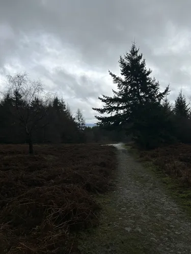 Best Hikes and Trails in Mortimer Forest | AllTrails