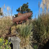 Alki Trail to Hamilton Viewpoint and Seacrest Parks, Washington - 1,000 ...