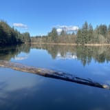 Lake to Lake Trail Loop via Lacamas Creek, Washington - 2,040 Reviews ...