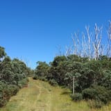 Lake Mountain and Keppel Hut Loop, Victoria, Australia - 76 Reviews ...