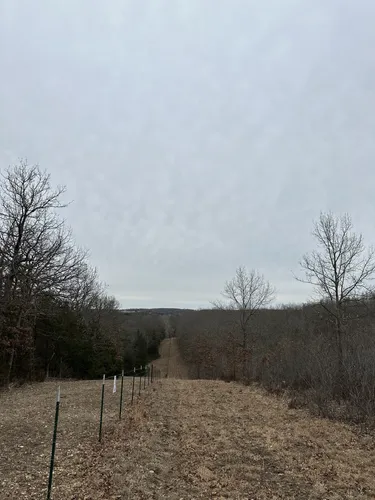 Best Hikes and Trails in Scrivner Road Conservation Area | AllTrails