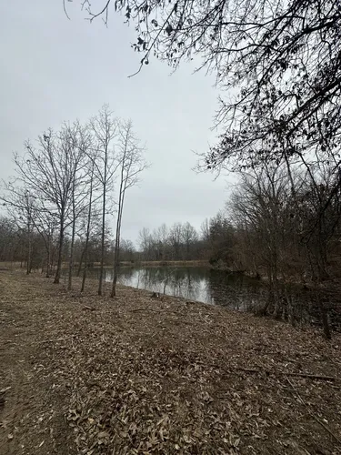 Best Hikes and Trails in Scrivner Road Conservation Area | AllTrails