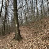 Pulpit Rock and Pinnacle Loop, Pennsylvania - 3,419 Reviews, Map ...