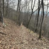 Pulpit Rock and Pinnacle Loop, Pennsylvania - 3,503 Reviews, Map ...