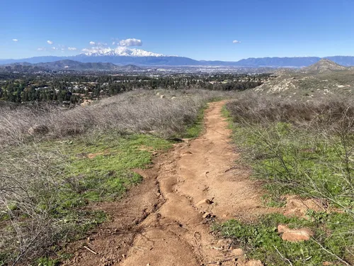 Best Hikes and Trails in Sycamore Canyon Wilderness Park | AllTrails