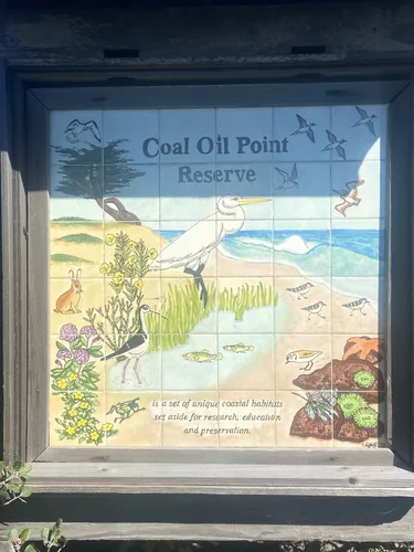 Best Hikes and Trails in Coal Oil Point Reserve | AllTrails