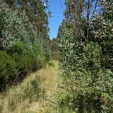 Lake Mountain and Keppel Hut Loop, Victoria, Australia - 76 Reviews ...