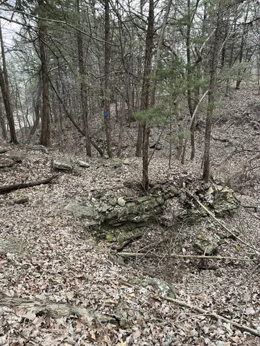 Best Hikes and Trails in Randolph State Park | AllTrails