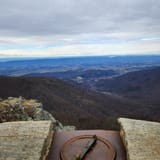 Hawksbill Loop Trail, Virginia - 4,114 Reviews, Map | AllTrails