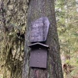 Gray Wolf Trail, Washington - 501 Reviews, Map | AllTrails