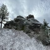 Rocks of Sharon Trail, Washington - 804 Reviews, Map | AllTrails