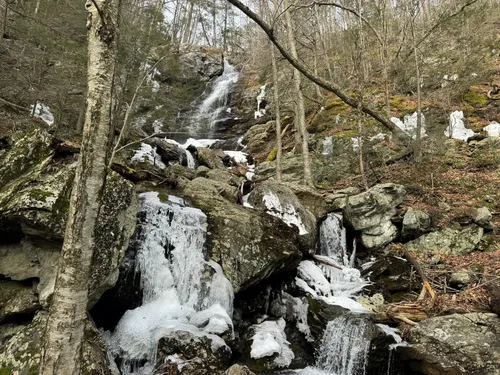 Best Views Trails in Mount Everett State Reservation | AllTrails