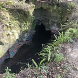 Dames Cave, Florida - 598 Reviews, Map | AllTrails