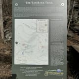 Tanbark Loop, New York - 574 Reviews, Map | AllTrails